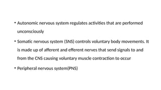 Structure & function of nerve tissue.pptx