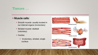 Structure function relationships in medical physiology.pptx
