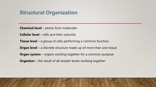 Structure function relationships in medical physiology.pptx