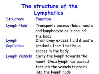 Structure & functions of lymphatic system | PPT