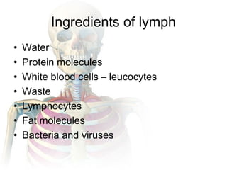 Structure & functions of lymphatic system | PPT