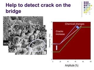 Bridge Assessment & Monitoring | PDF