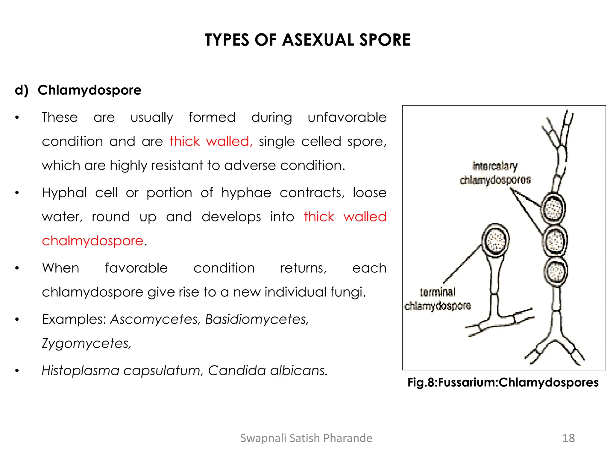 Structure, Importance and Reproduction of Fungi | PDF