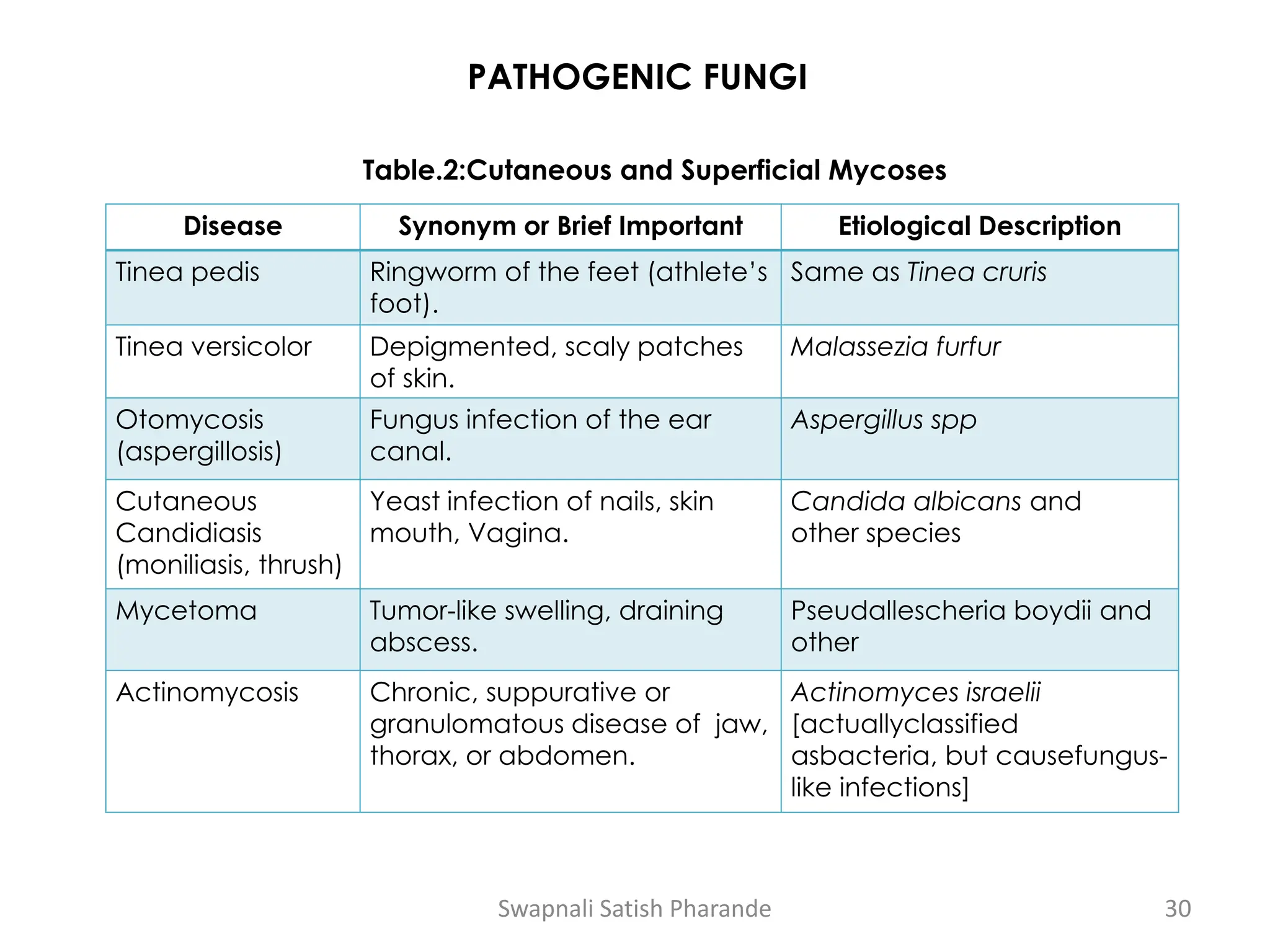 Structure, Importance and Reproduction of Fungi | PDF