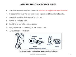 Structure, Importance and Reproduction of Fungi | PDF