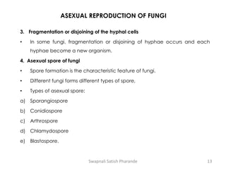Structure, Importance and Reproduction of Fungi | PDF