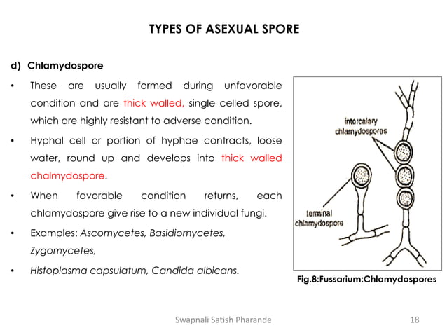 Structure, Importance and Reproduction of Fungi | PPT