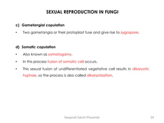 Structure, Importance and Reproduction of Fungi | PDF