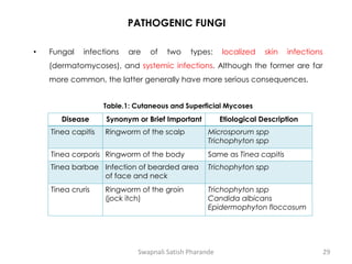 Structure, Importance and Reproduction of Fungi | PDF