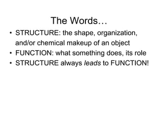 Structure leads to function | PPT