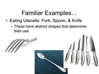 Structure leads to function | PPTX