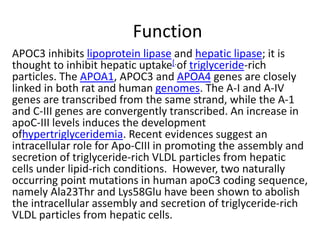 Structure lipoproteins | PPT