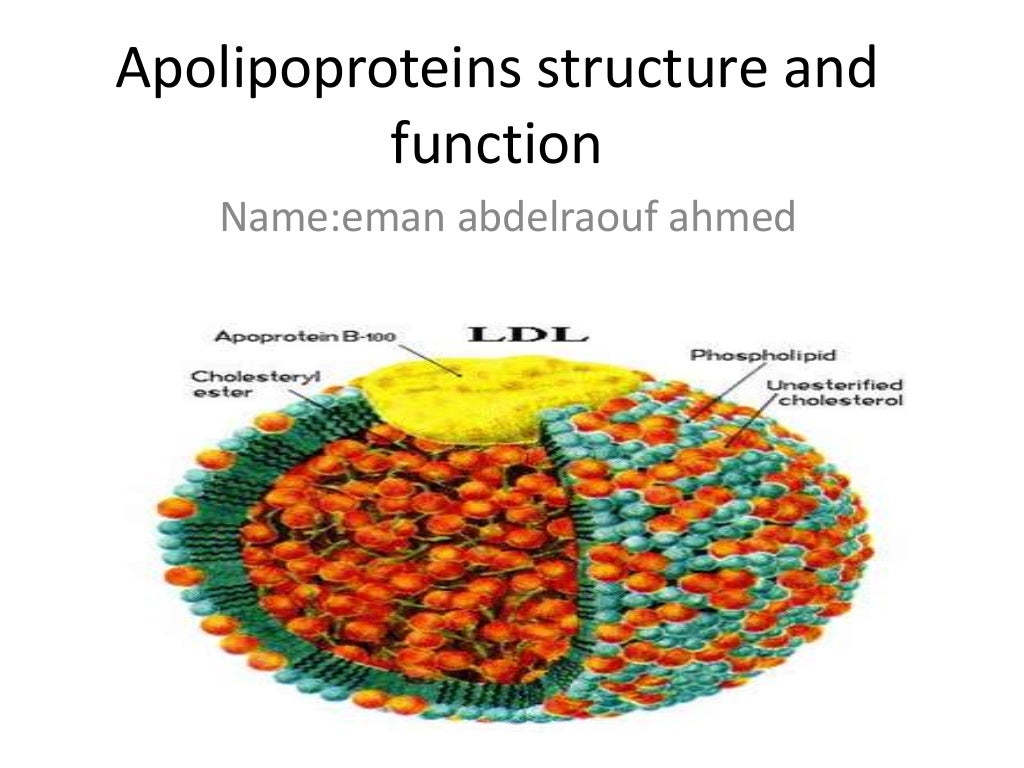 Structure lipoproteins