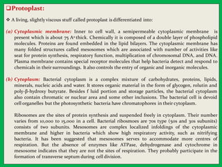 Structure Nutrition and Reproduction in Bacteria By Dr. Neeraj Kumar ...