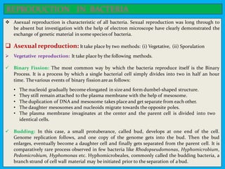 Structure Nutrition and Reproduction in Bacteria By Dr. Neeraj Kumar ...