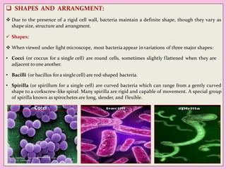 Structure Nutrition and Reproduction in Bacteria By Dr. Neeraj Kumar ...