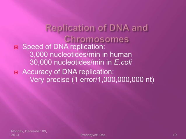 Structure of DNA | PPT