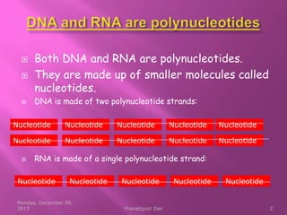 Structure of DNA | PPT | Biological Sciences | Science