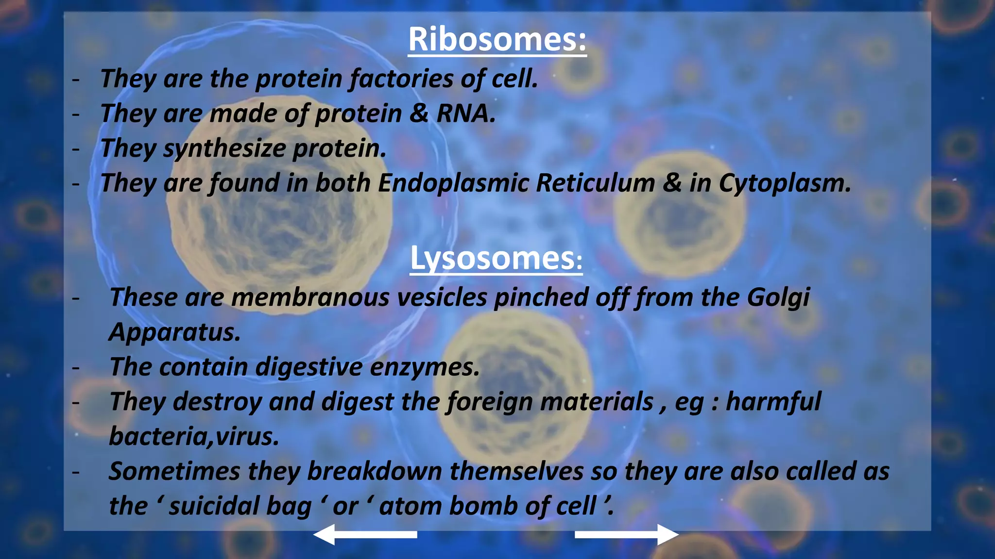 Structure of a human cell | PPTX