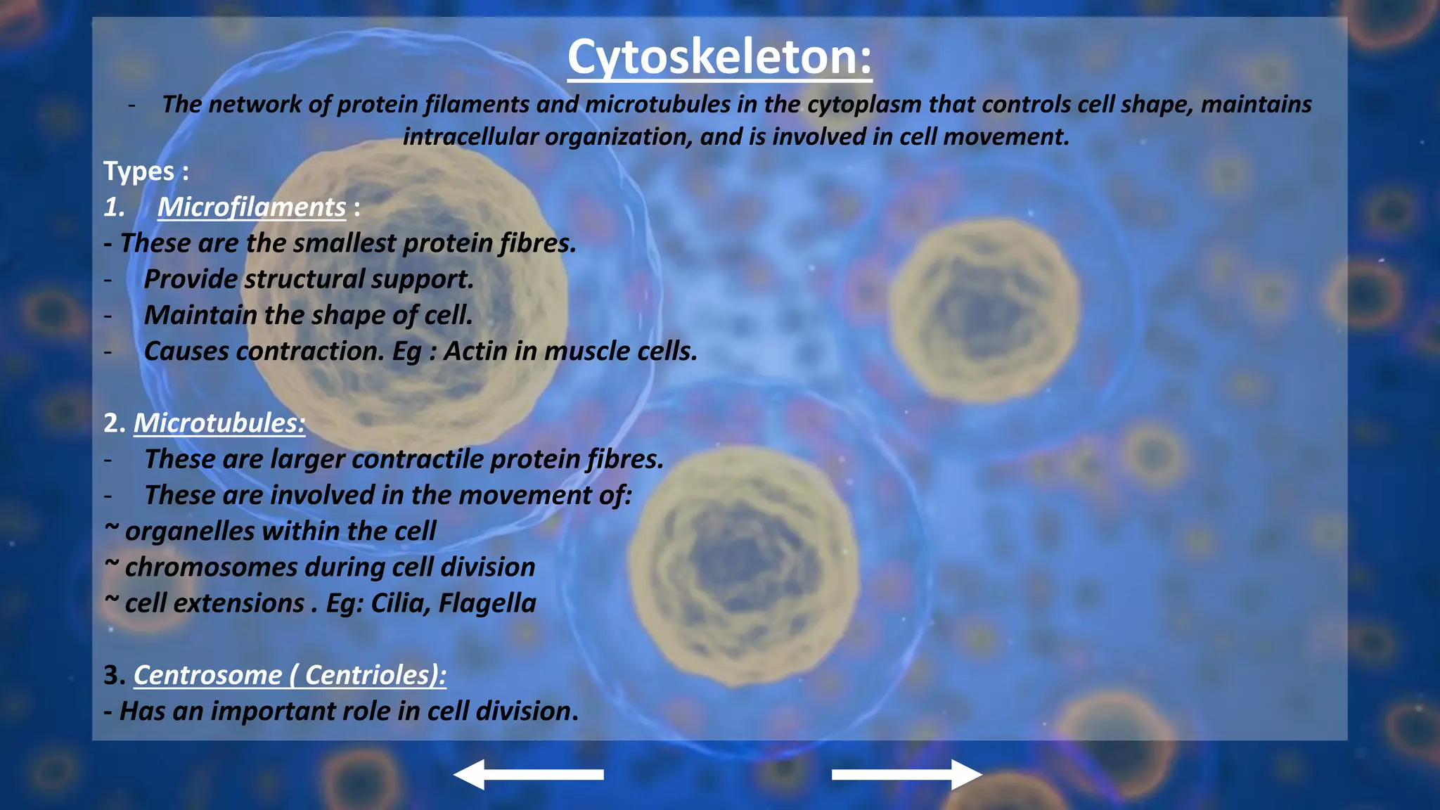 Structure of a human cell | PPTX