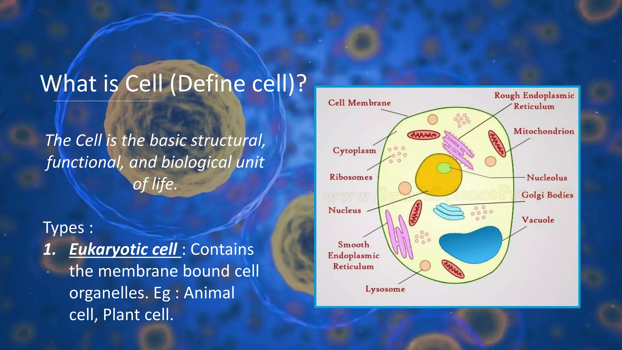 Structure of a human cell | PPTX
