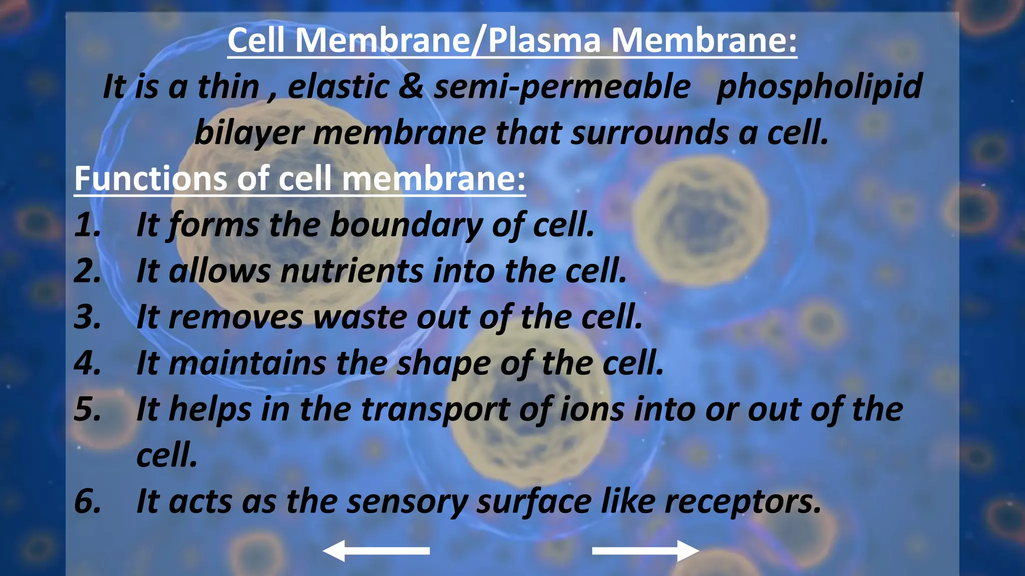Structure of a human cell | PPTX