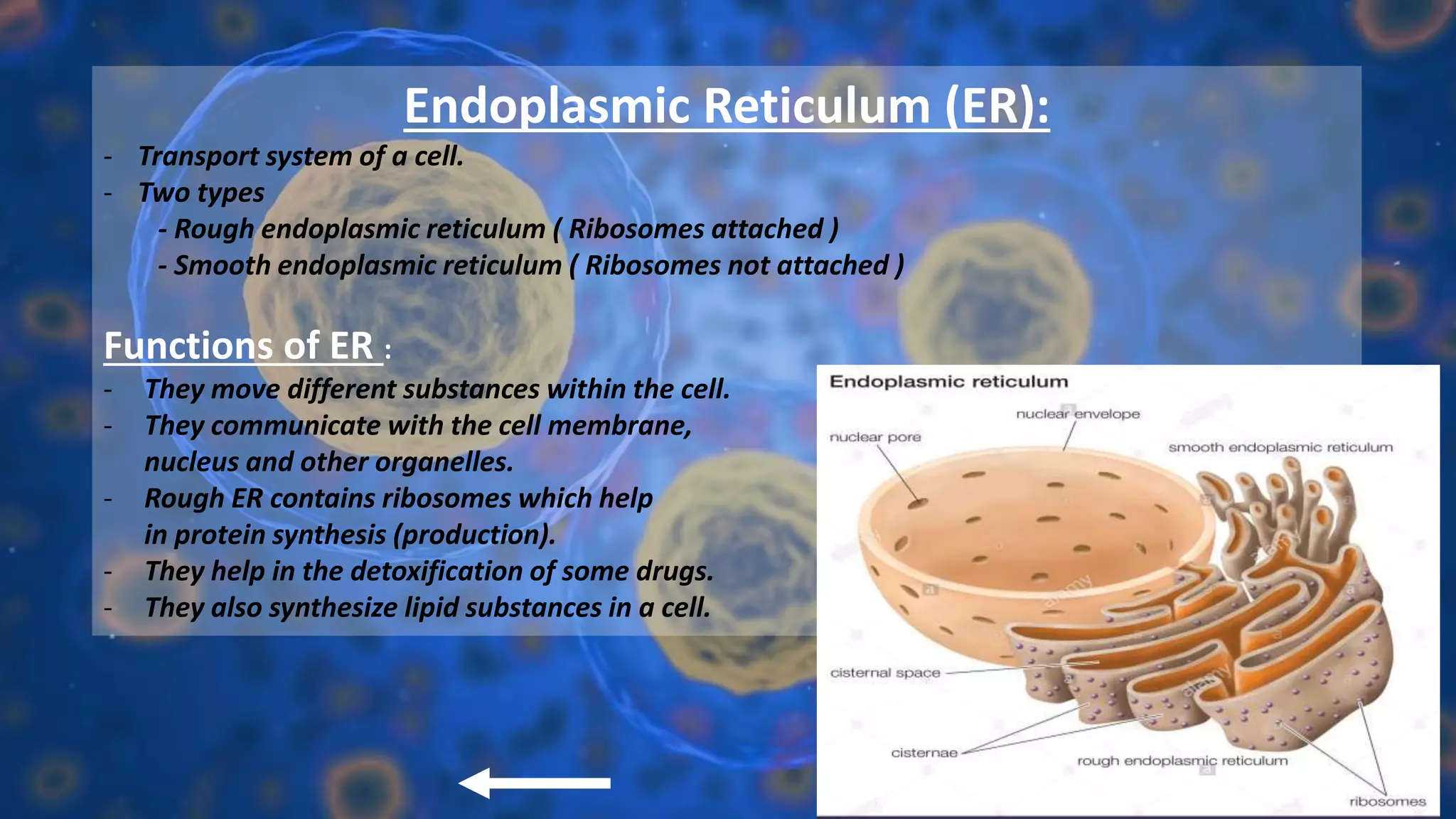 Structure of a human cell | PPTX