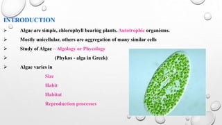 Structure of algae.pptx