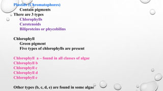 Structure of algae.pptx