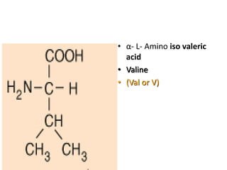 Structure of amino acids | PPTX