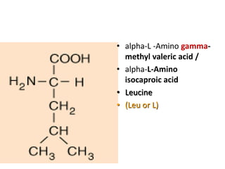Structure of amino acids | PPT