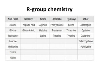 Structure of amino acids.pptx