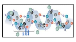Structure of an Enzyme in detail with images-sourav.pptx