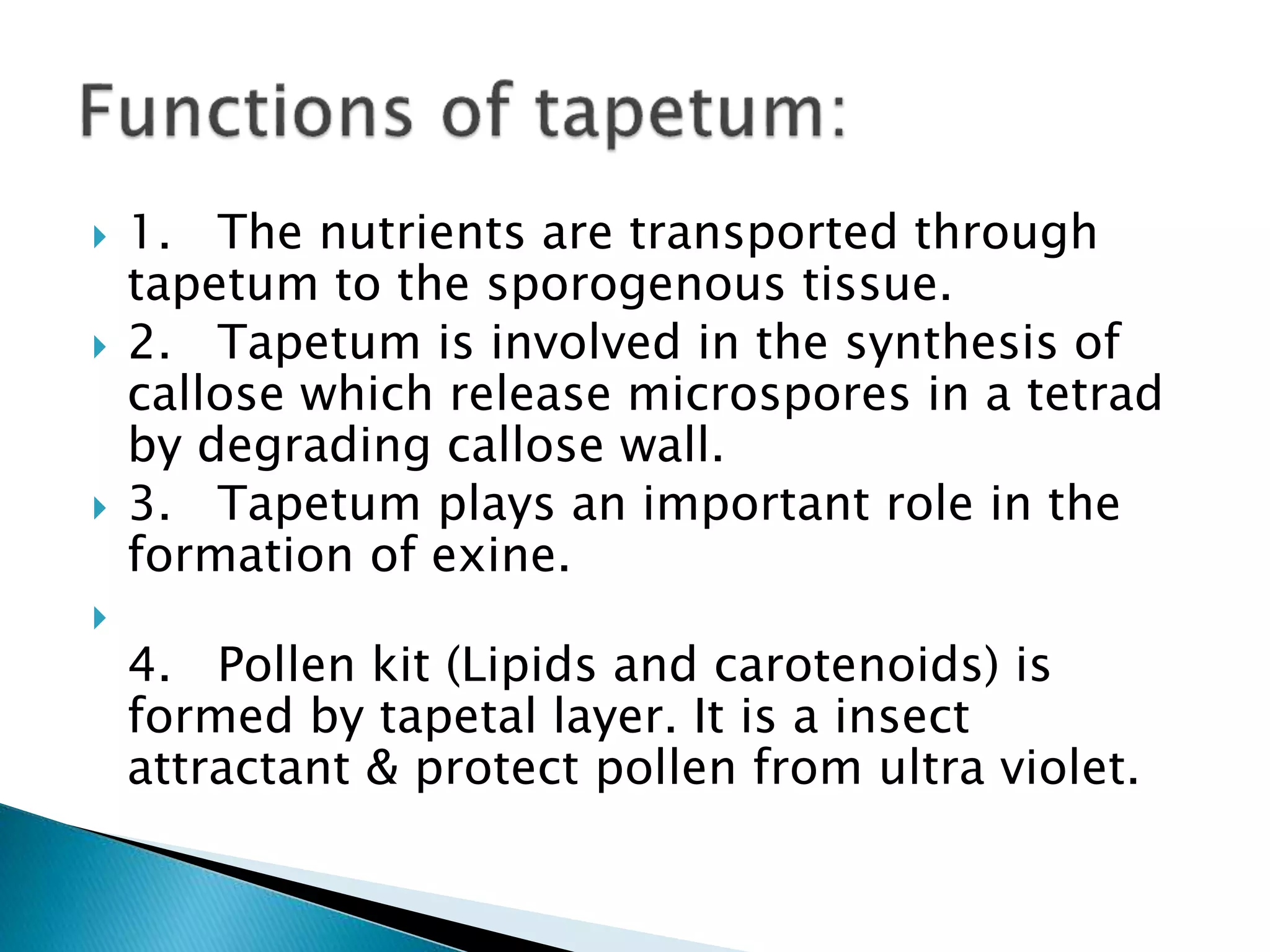 Structure of Anther | PPTX | Gardening | Home & Garden