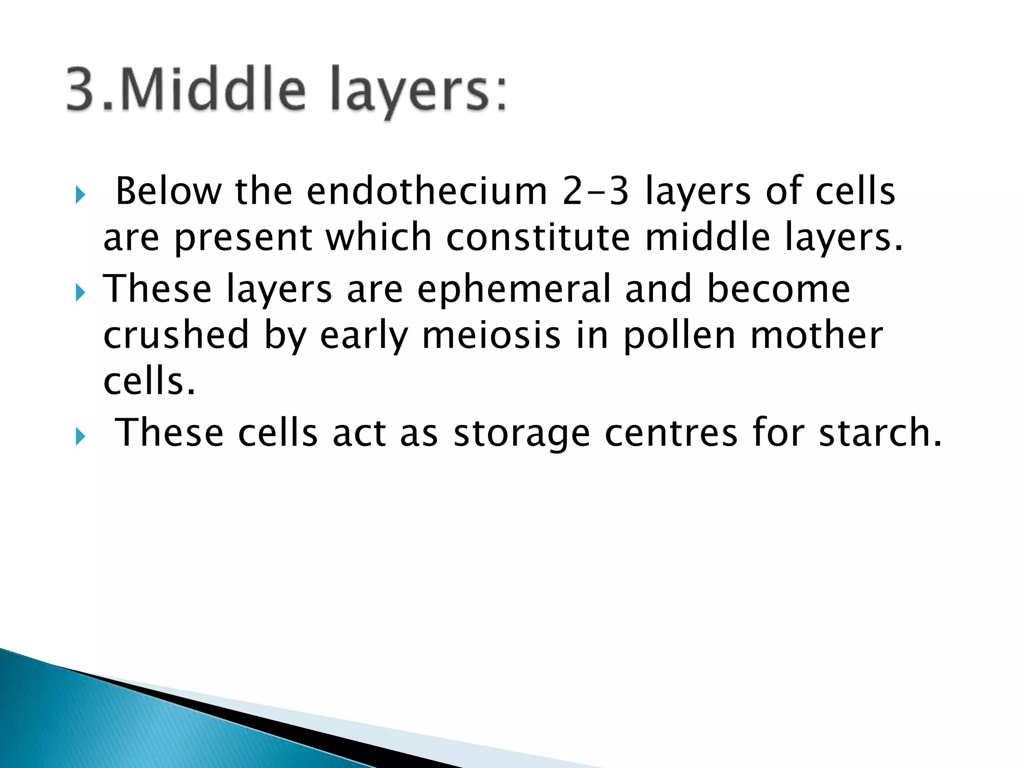 Structure of Anther | PPTX