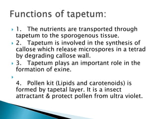 Structure of Anther | PPTX