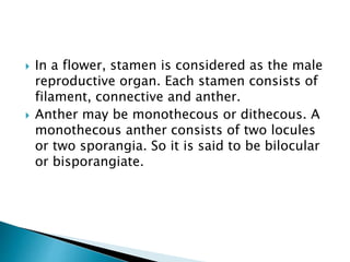 Structure of Anther | PPTX