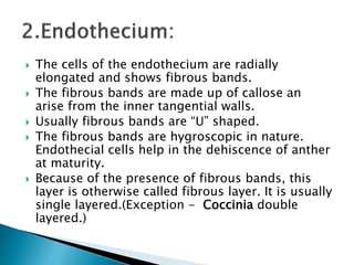 Structure of Anther | PPTX