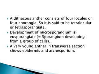 Structure of Anther | PPT