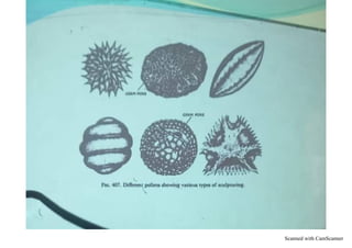 Structure of anther.pdf