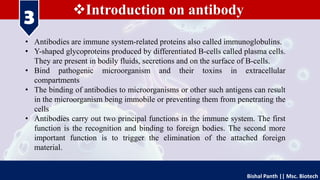 Structure of antibodies | PDF