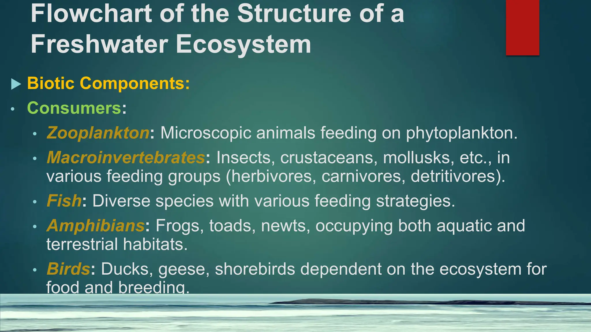 STRUCTURE OF AQUATIC ecosystems: structure, components and functioning ...