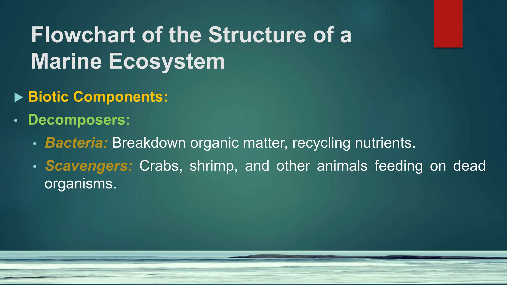 STRUCTURE OF AQUATIC ecosystems: structure, components and functioning ...