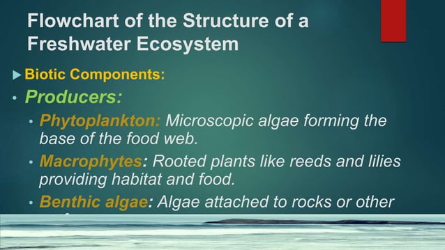 STRUCTURE OF AQUATIC ecosystems: structure, components and functioning ...