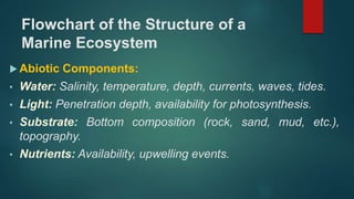 STRUCTURE OF AQUATIC ecosystems: structure, components and functioning ...