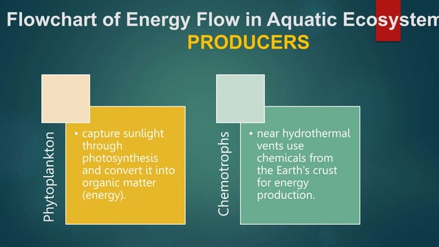 STRUCTURE OF AQUATIC ecosystems: structure, components and functioning ...
