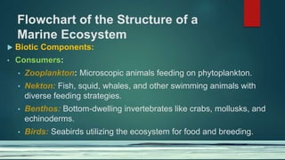 STRUCTURE OF AQUATIC ecosystems: structure, components and functioning ...