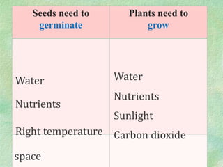 Structure of a seed | PPTX