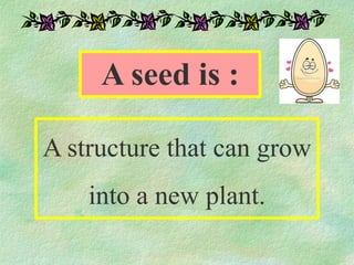 Structure of a seed | PPT