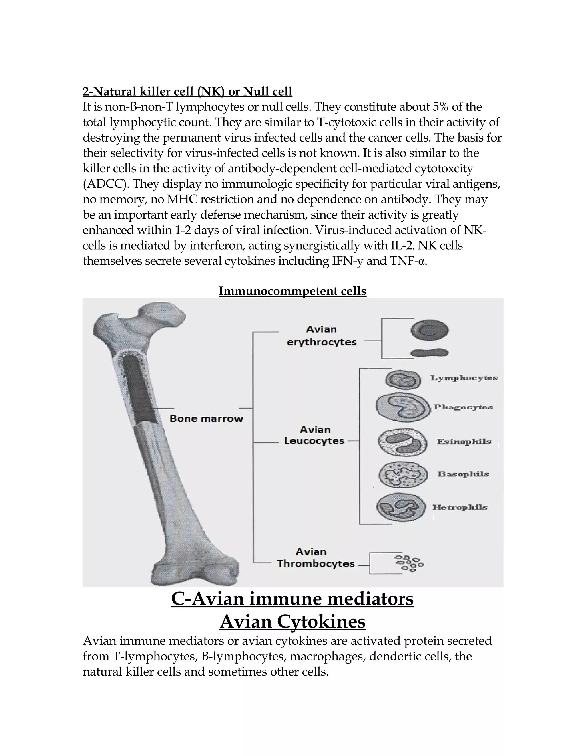 Structure of avian immune system Dr Fares El-Khayat | DOC | Biological ...